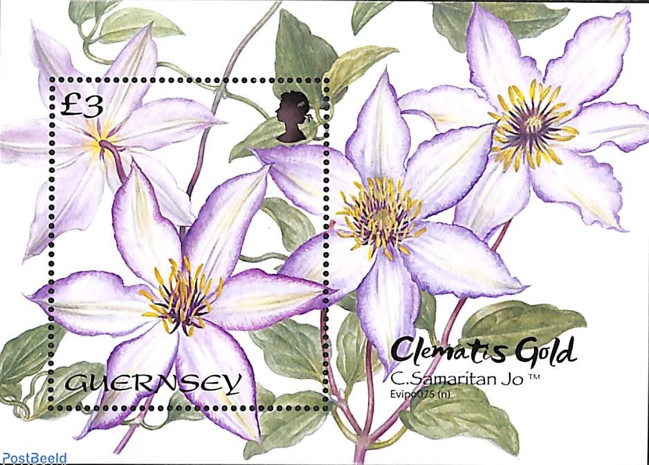 Stamp 2022, Guernsey Clematis Samaritan Jo s/s, 2022 - Collecting ...