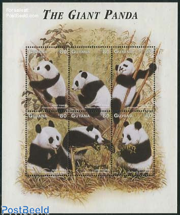 panda catalogue