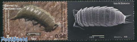 Stamp 2014, Bosnia Herzegovina Cave lice 1v+tab, 2014 - Collecting ...